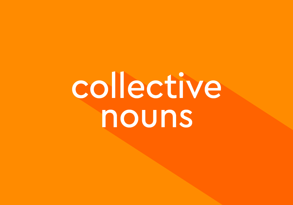 Grammar Unit 1.7: Nouns – Collective Nouns – Yellow Pig Bear